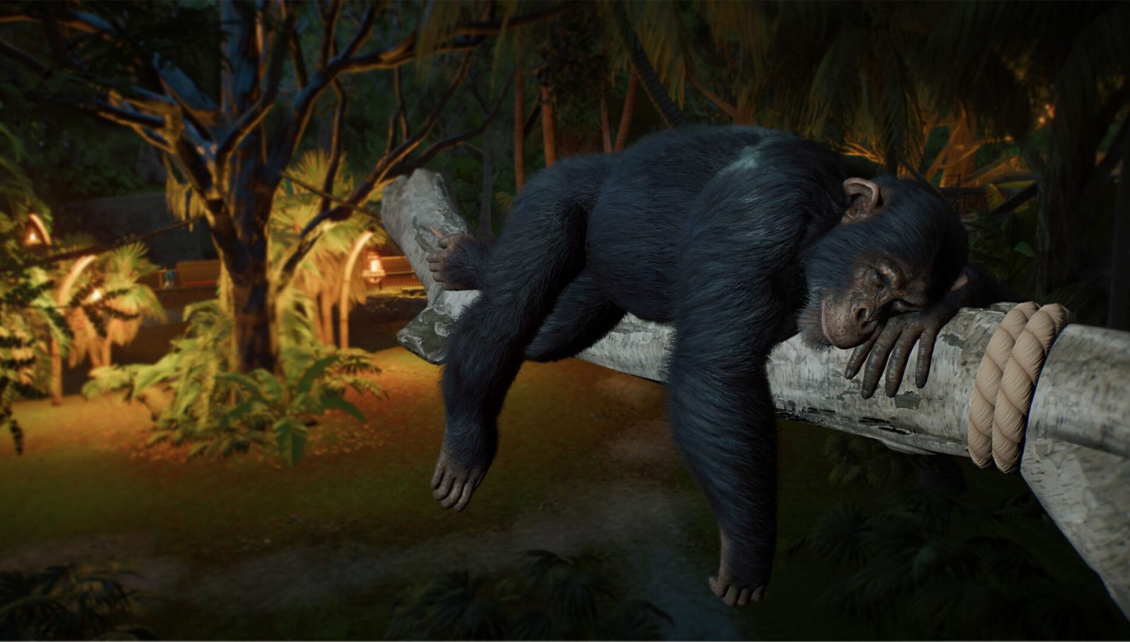 Planet Zoo 2: Oct 13 Release for PC, PS5 & Xbox - HN 玩新聞